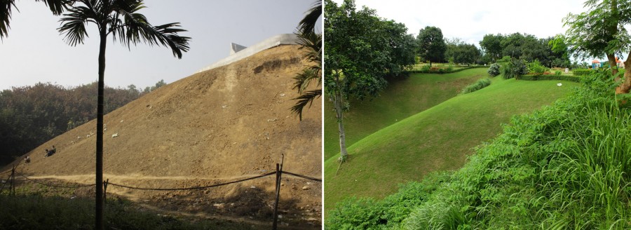 Designing ‘The Palace’ Ground: A Performative Landscape