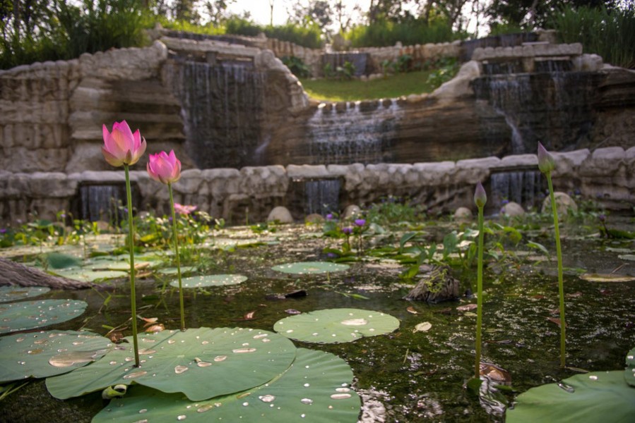 Designing ‘The Palace’ Ground: A Performative Landscape