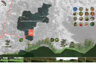 Designing ‘The Palace’ Ground: A Performative Landscape