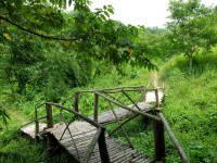 Designing ‘The Palace’ Ground: A Performative Landscape