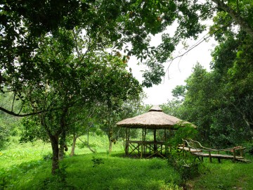 Designing ‘The Palace’ Ground: A Performative Landscape