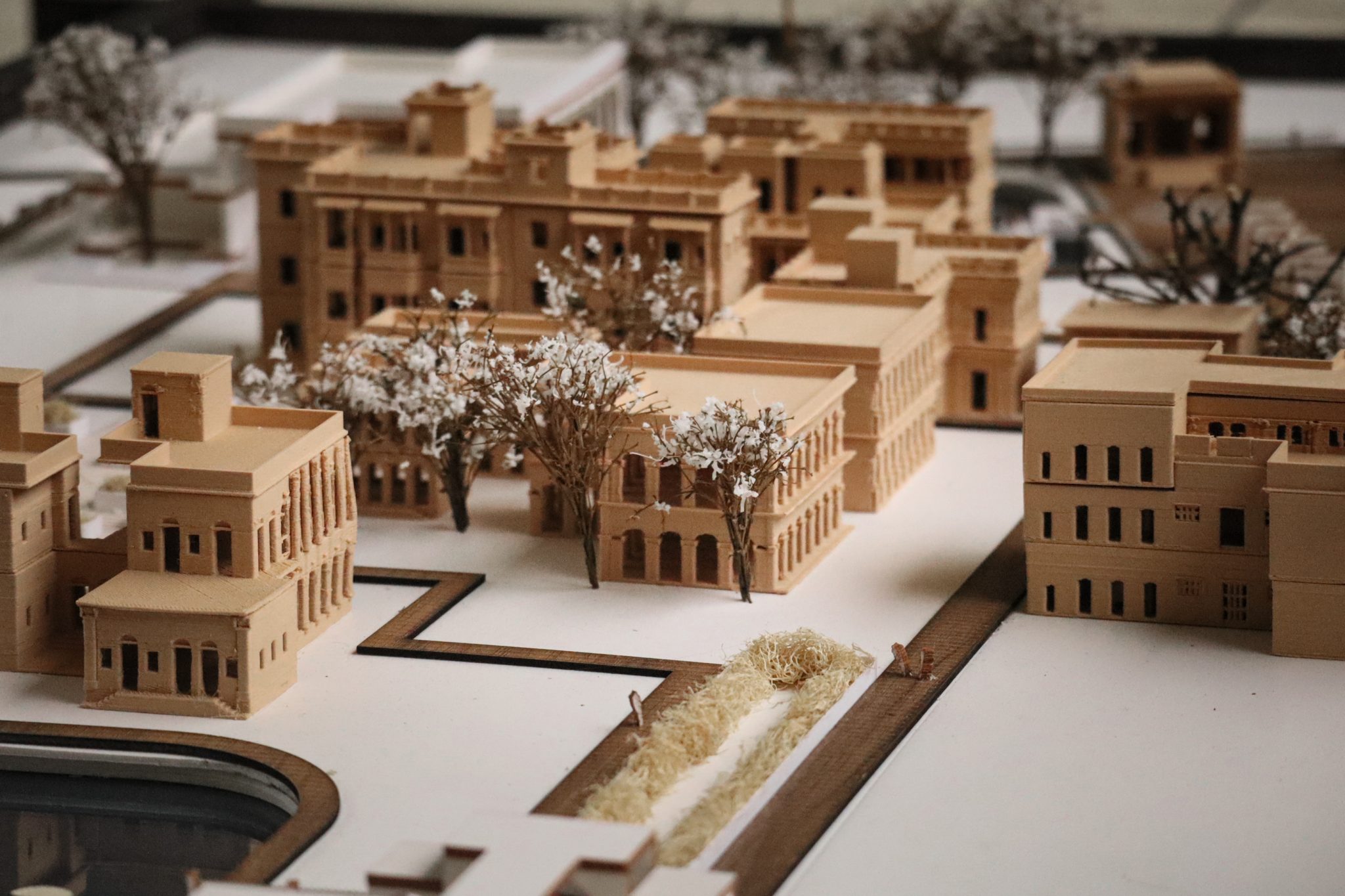 Echoes of Aristocracy: Renewing Nagarpur's Legacy