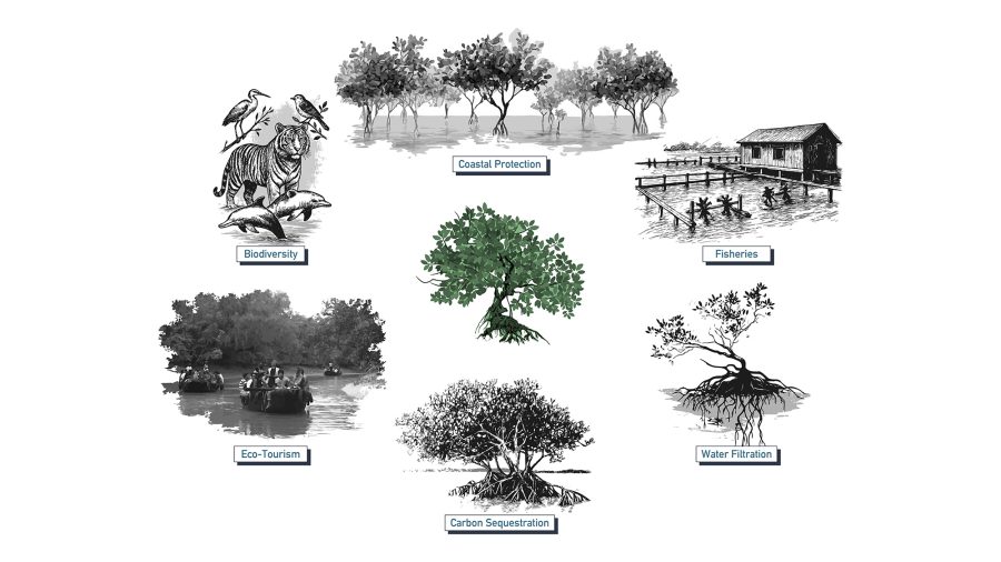 আরণ্যক: A Center for Mangrove Adaptation and Learning